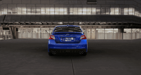 Blue GIF - Find & Share on GIPHY