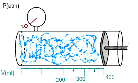 Gas GIF - Find & Share on GIPHY