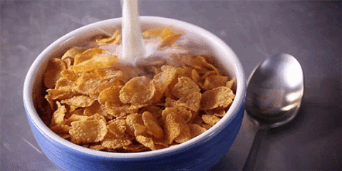 Foods GIF - Find & Share on GIPHY