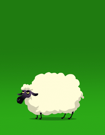 Sheep GIF - Find & Share on GIPHY