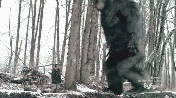 Bigfoot GIFs - Get the best GIF on GIPHY