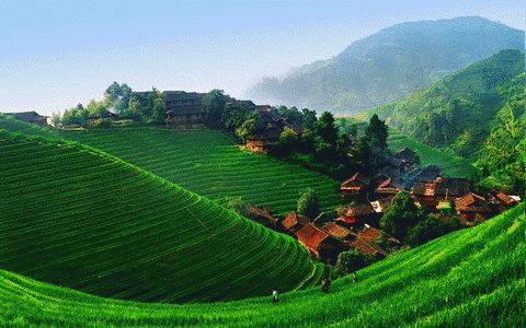 China GIF - Find & Share on GIPHY