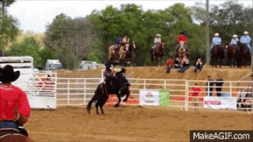 Rodeo GIFs - Find & Share on GIPHY