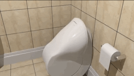 Business Toilet GIF - Find & Share on GIPHY