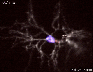 Impulse GIF - Find & Share on GIPHY