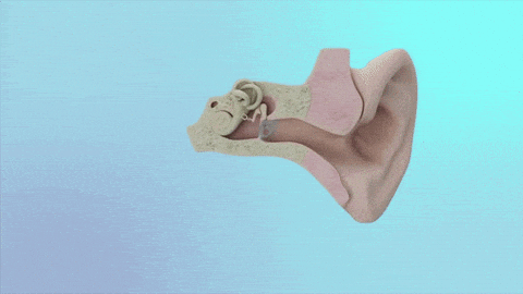 Eardrum GIFs - Get the best GIF on GIPHY