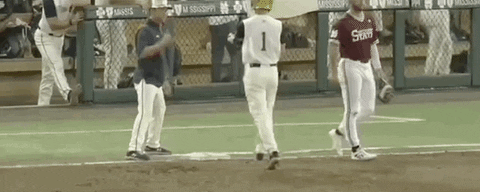 World Series Baseball GIF by NCAA Championships - Find & Share on GIPHY