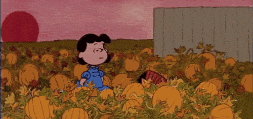 Charlie Brown Halloween GIF - Find & Share on GIPHY