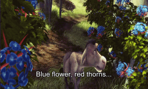 Shrek GIFs - Find & Share on GIPHY