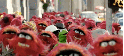 Muppet GIFs - Find & Share on GIPHY