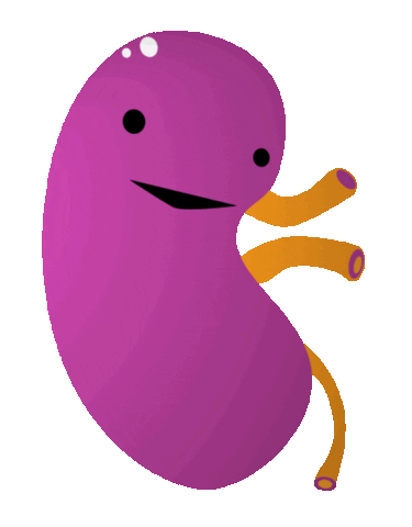 Kidney Transplant Sticker by I Heart Guts for iOS & Android | GIPHY
