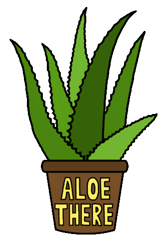 Aloe Vera Hello Sticker for iOS & Android | GIPHY