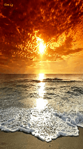 Sunset GIF - Find & Share on GIPHY