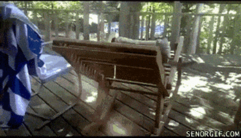 Window Fail GIF by Cheezburger - Find & Share on GIPHY