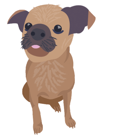 Little Bit Dog Sticker by TLC for iOS & Android | GIPHY