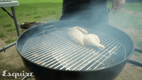 Bbq Grill GIF by Esquire - Find & Share on GIPHY