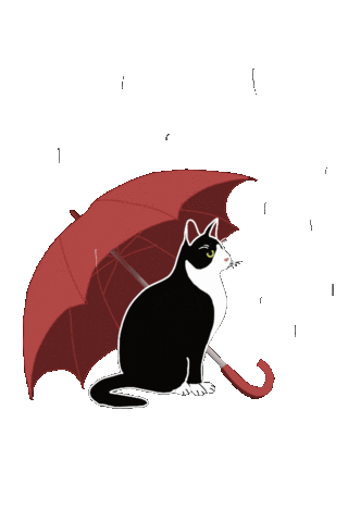 Cat Rain Sticker for iOS & Android | GIPHY