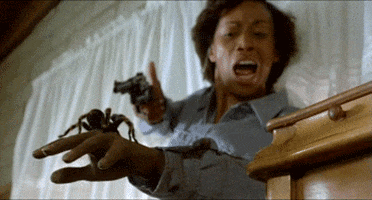 Spider GIF - Find & Share on GIPHY