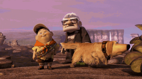Squirrel Russell GIF by Disney - Find & Share on GIPHY