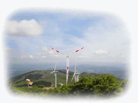 Wind GIFs - Find & Share on GIPHY