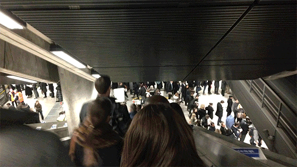 Queue GIF - Find & Share on GIPHY