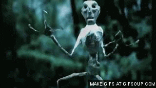 Creature GIF - Find & Share on GIPHY