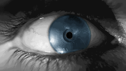 Cybernetic Eye GIFs - Find & Share on GIPHY