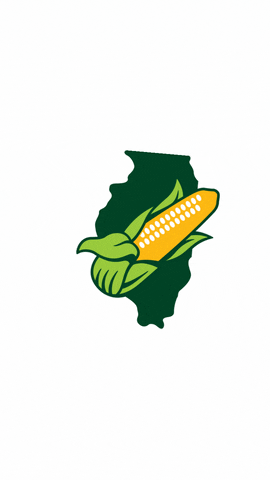 IL Corn GIF - Find & Share on GIPHY
