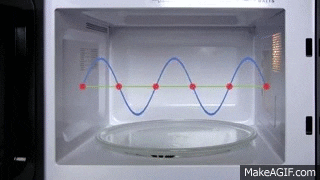 Microwave GIF - Find & Share on GIPHY