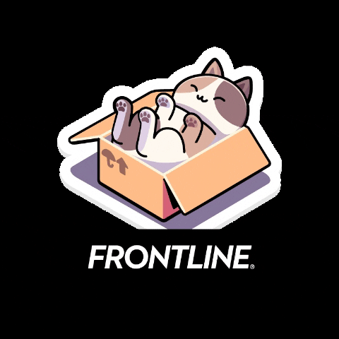 Frontline GIF - Find & Share on GIPHY