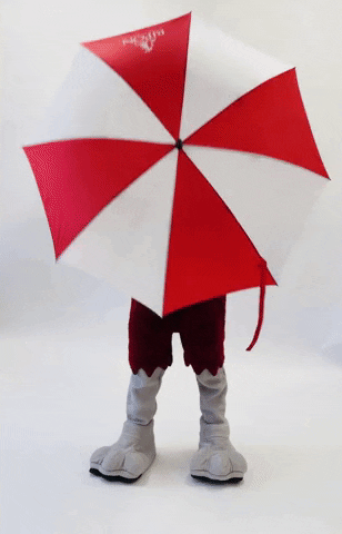 Peek-A-Boo Bird GIF by Ripon College - Find & Share on GIPHY