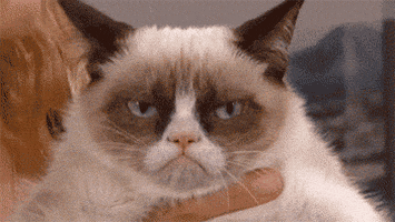Grumpy GIFs - Find & Share on GIPHY