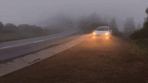 PlanB GIF - Find & Share on GIPHY