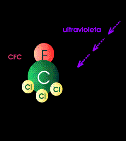 Cfc GIF - Find & Share on GIPHY