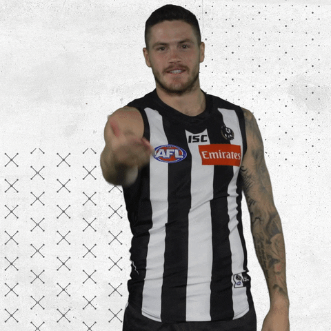 GIF by CollingwoodFC - Find & Share on GIPHY