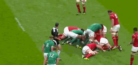 Rugby GIF - Find & Share on GIPHY