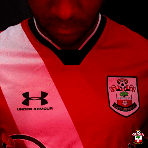 Premier League Football GIF by Southampton FC - Find & Share on GIPHY