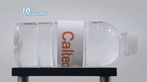 - Find & Share on GIPHY