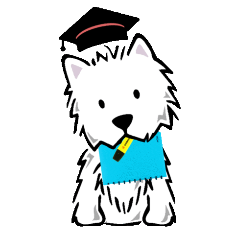 Papelaria Cadernos Sticker for iOS & Android | GIPHY