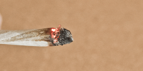 Cannabis GIF - Find & Share on GIPHY