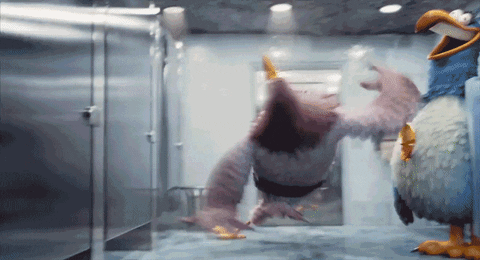 Fall GIF by Angry Birds Movie - Find & Share on GIPHY