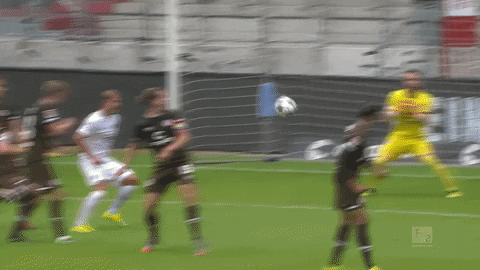 Sankt Pauli Goalkeeper GIF by FC St. Pauli - Find & Share on GIPHY
