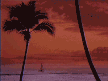 Palm Tree Water GIF by rotomangler - Find & Share on GIPHY