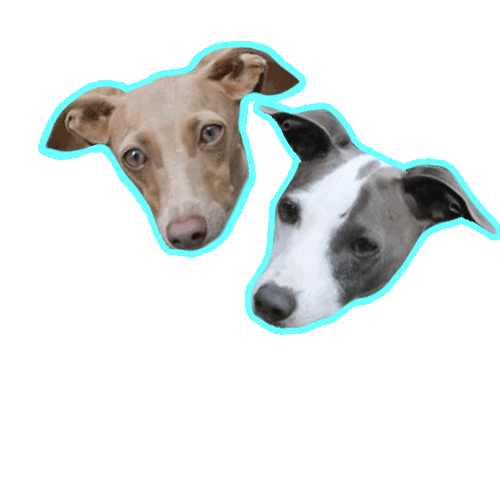 Wolfe Two Dogs Sticker for iOS & Android | GIPHY