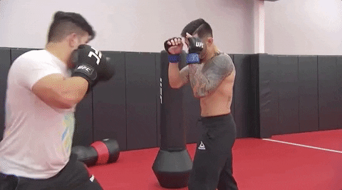 Sport Sparring GIF by UFC - Find & Share on GIPHY
