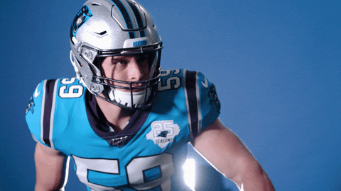 Nfl GIF by Carolina Panthers - Find & Share on GIPHY