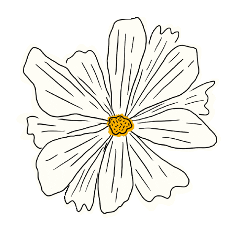White Flower Sticker by Nhena for iOS & Android | GIPHY