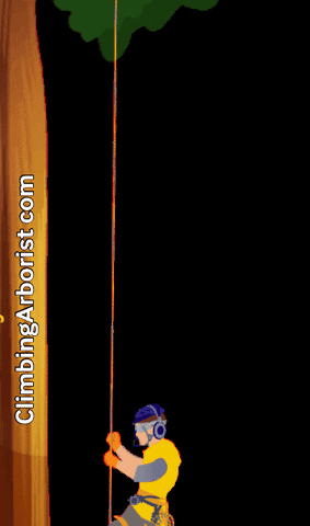 Climber Arborist GIF by ClimbingArborist - Find & Share on GIPHY