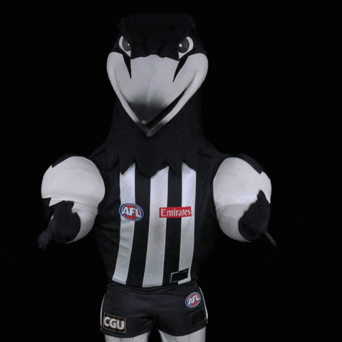 CollingwoodFC GIF - Find & Share on GIPHY