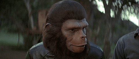Understand Planet Of The Apes GIF - Find & Share on GIPHY